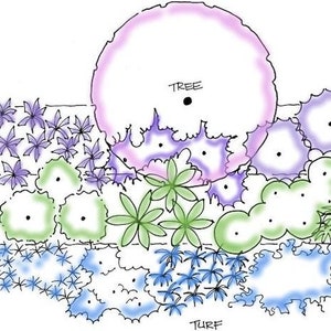 Shade Planting Scheme, Garden Plan Under Shade Tree, Tree Base ...