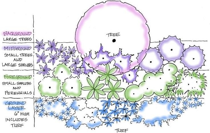 Shade Planting Scheme, Garden Plan Under Shade Tree, Tree Base ...