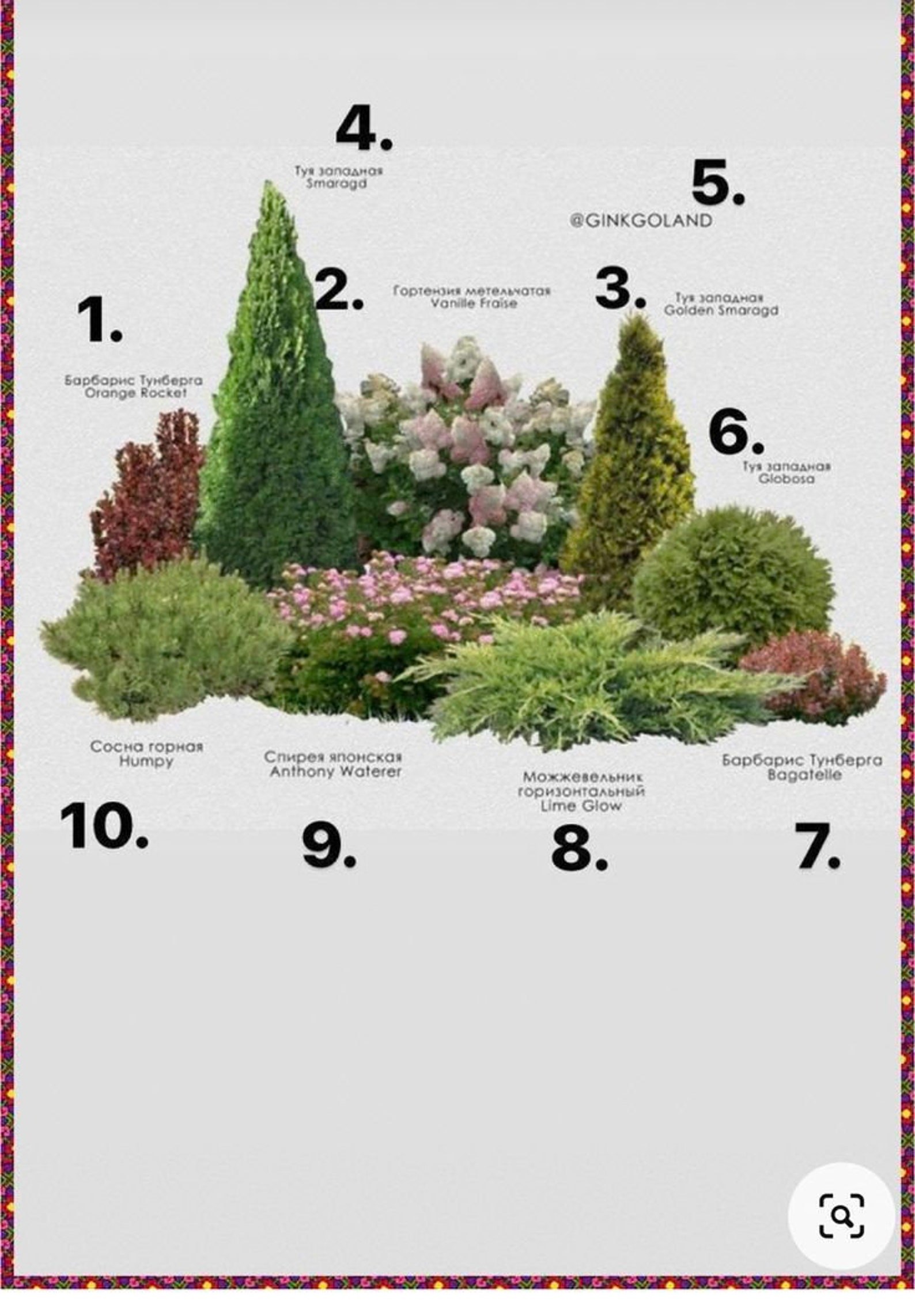 Shade Planting Scheme, Garden Plan Under Shade Tree, Tree Base ...