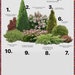 Shade Planting Scheme, Garden Plan Under Shade Tree, Tree Base ...