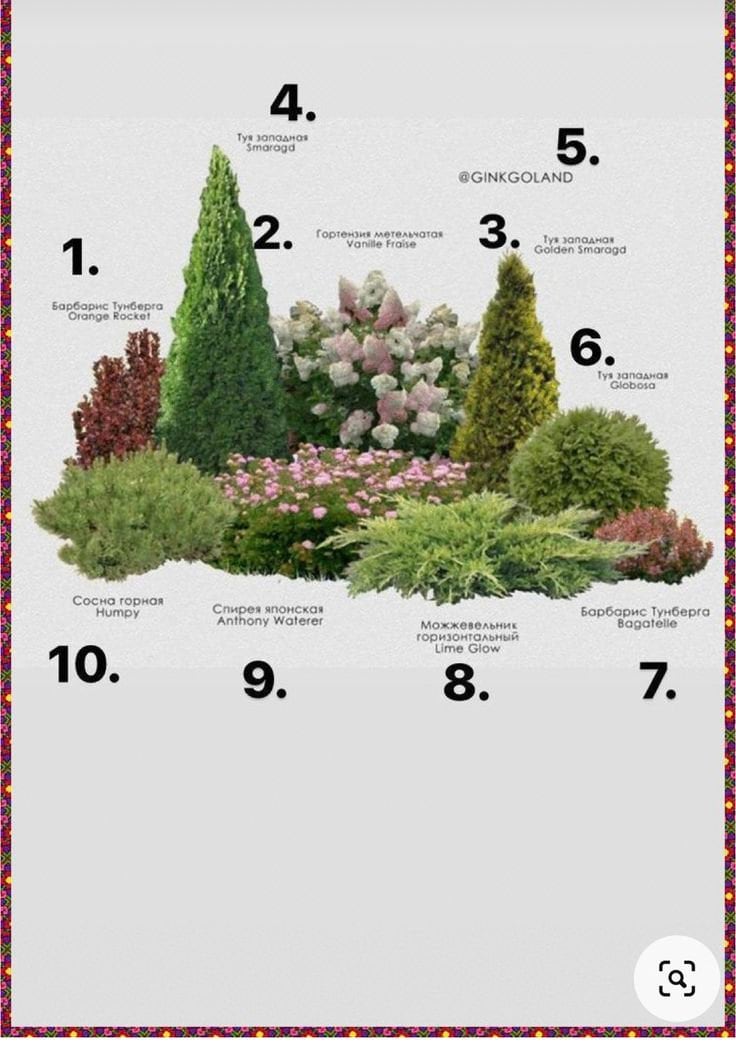 Shade Planting Scheme, Garden Plan Under Shade Tree, Tree Base ...