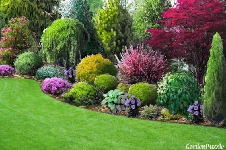 Premade Landscape Design, Landscape Berm, Zone 5-8 Berm, Coniferous ...