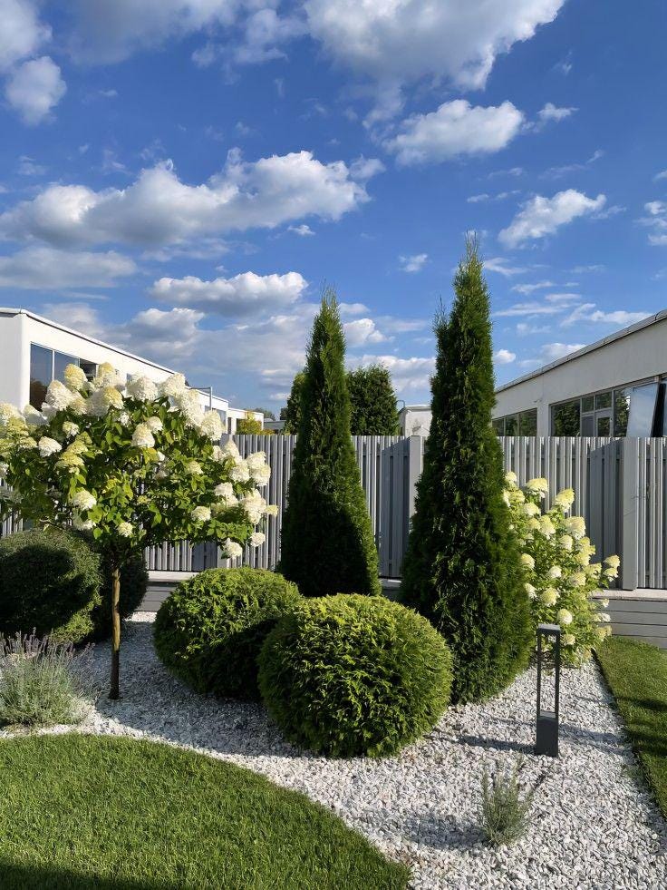 Shade Planting Scheme, Garden Plan Under Shade Tree, Tree Base ...