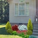 Shade Planting Scheme, Garden Plan Under Shade Tree, Tree Base ...