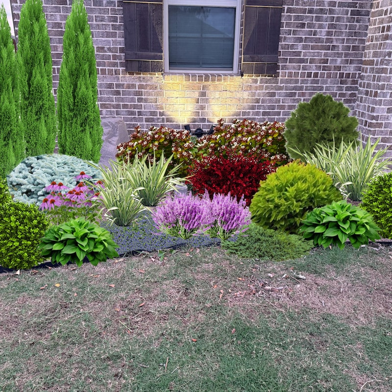 Shade Planting Scheme - Etsy