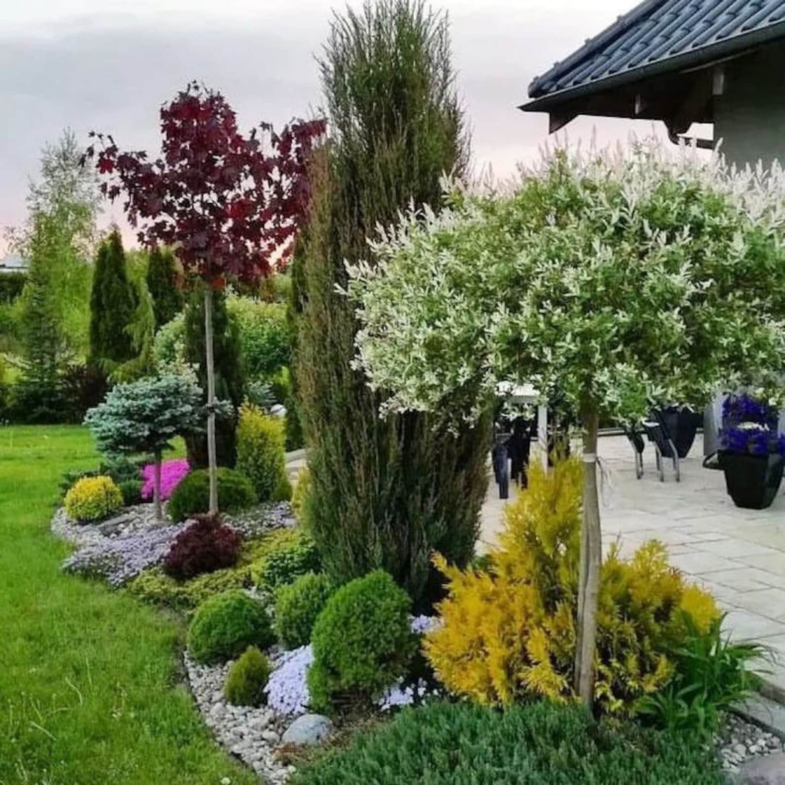 Premade Landscape Design, Landscape Berm, Zone 5-8 Berm, Coniferous ...