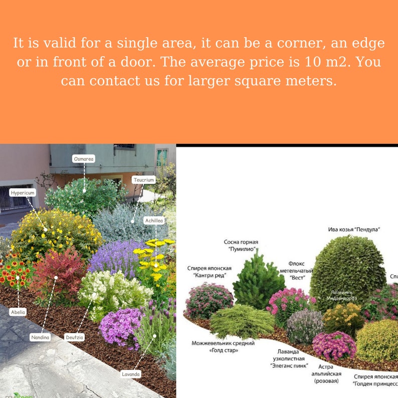 Shade Planting Scheme, Garden Plan Under Shade Tree, Tree Base ...