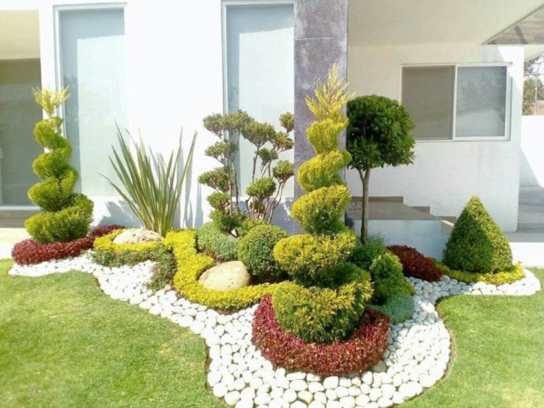 Premade Landscape Design, Landscape Berm, Zone 5-8 Berm, Coniferous ...
