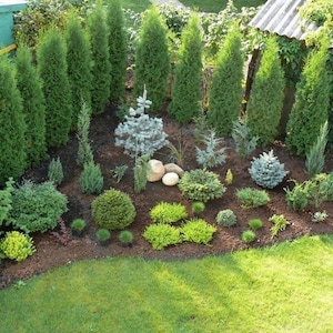 Landscape Plan,shade Planting Scheme, Garden Plan Under Shade Tree ...