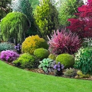 Shade Planting Scheme, Garden Plan Under Shade Tree, Tree Base ...