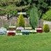 Shade Planting Scheme, Garden Plan Under Shade Tree, Tree Base ...