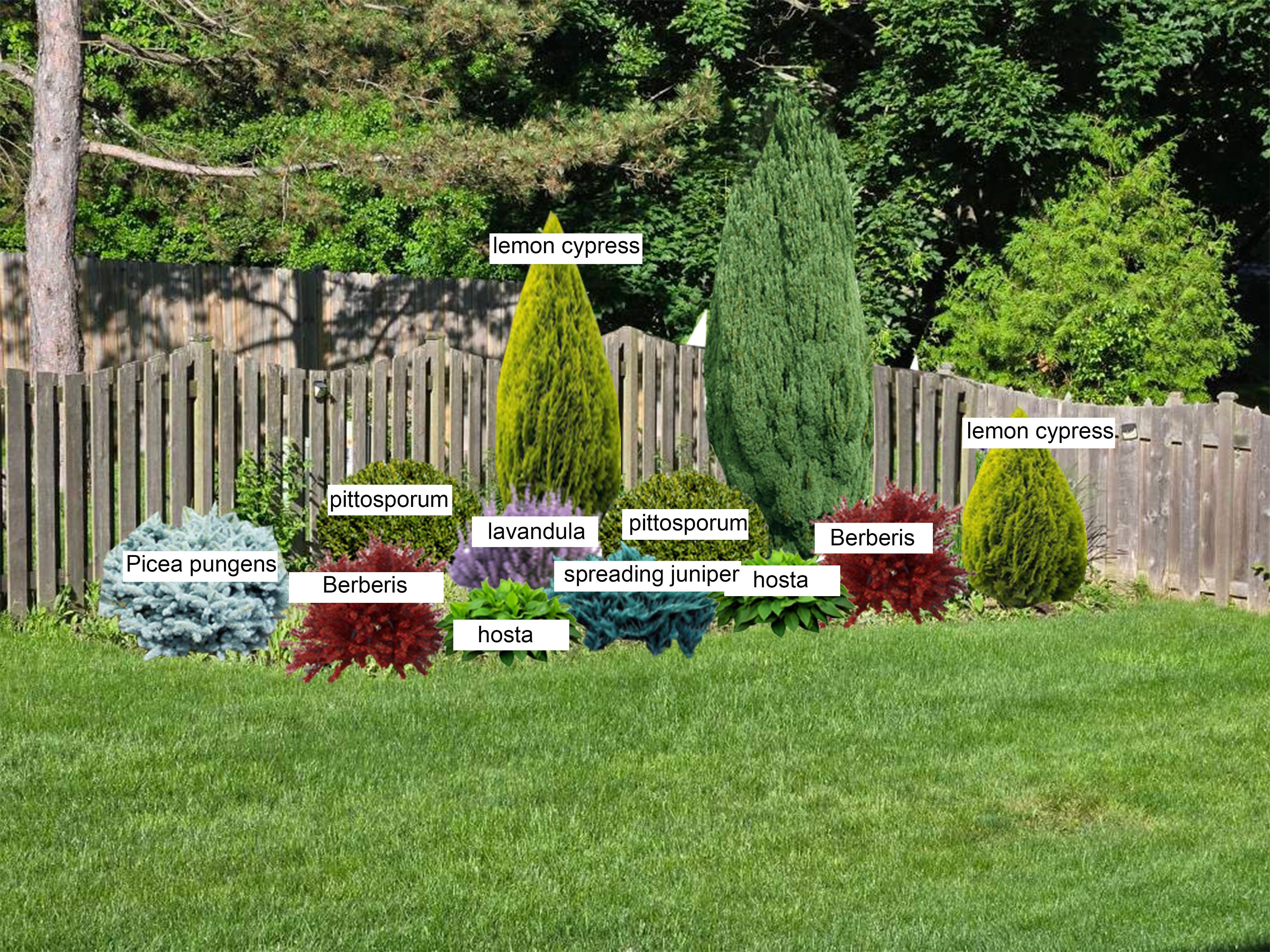 Shade Planting Scheme, Garden Plan Under Shade Tree, Tree Base ...