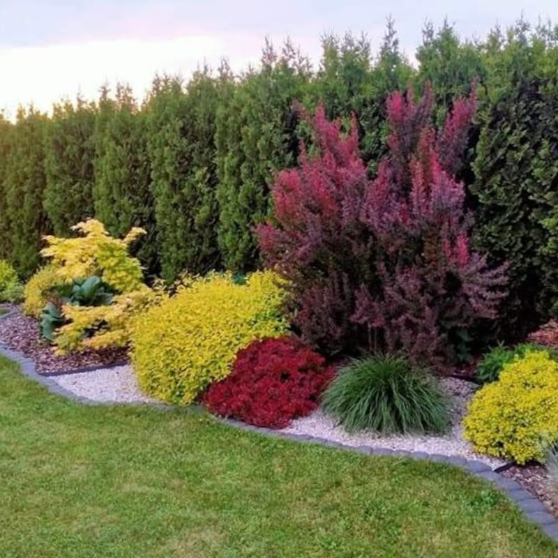 Shade Planting Scheme - Etsy