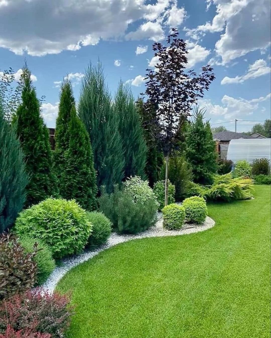 Shade Planting Scheme, Garden Plan Under Shade Tree, Tree Base ...