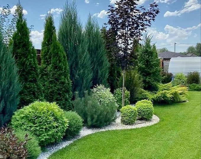 Custom Garden Design, Detailed Plant List (digital Download) - Etsy Canada