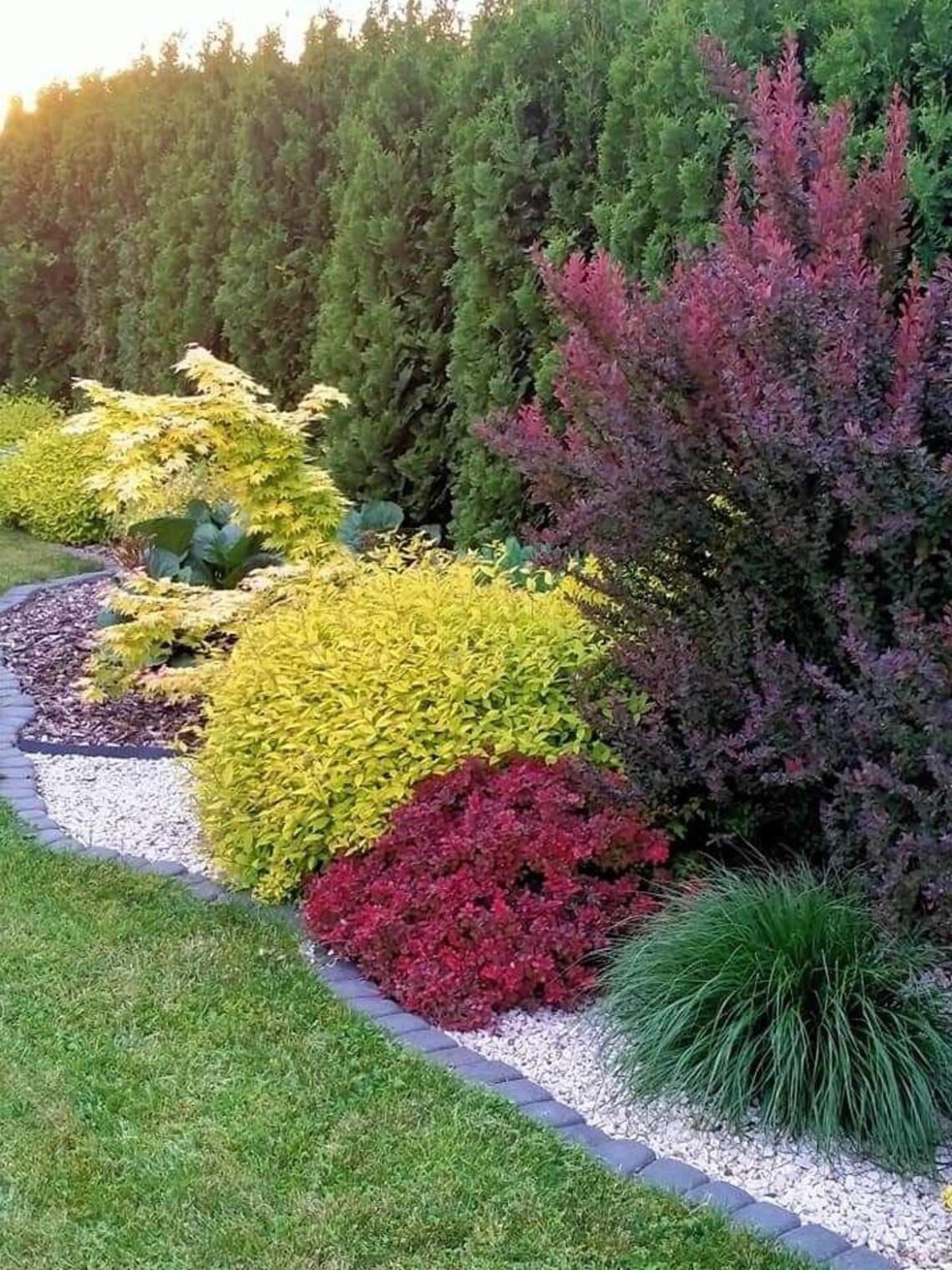 Premade Fence Landscape , Magnolia Tree Design, Zone 5-8 Landscape ...