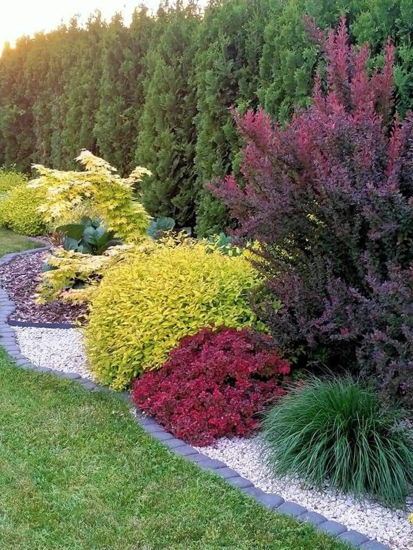 Premade Fence Landscape , Magnolia Tree Design, Zone 5-8 Landscape ...