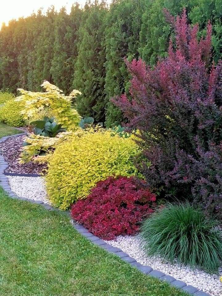 Premade Fence Landscape , Magnolia Tree Design, Zone 5-8 Landscape ...