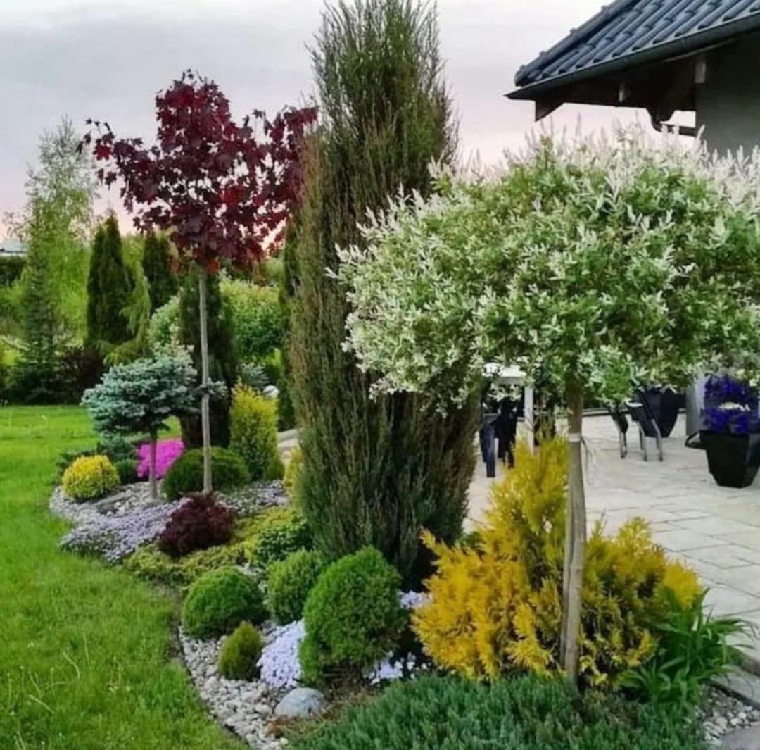 Shade Planting Scheme, Garden Plan Under Shade Tree, Tree Base ...