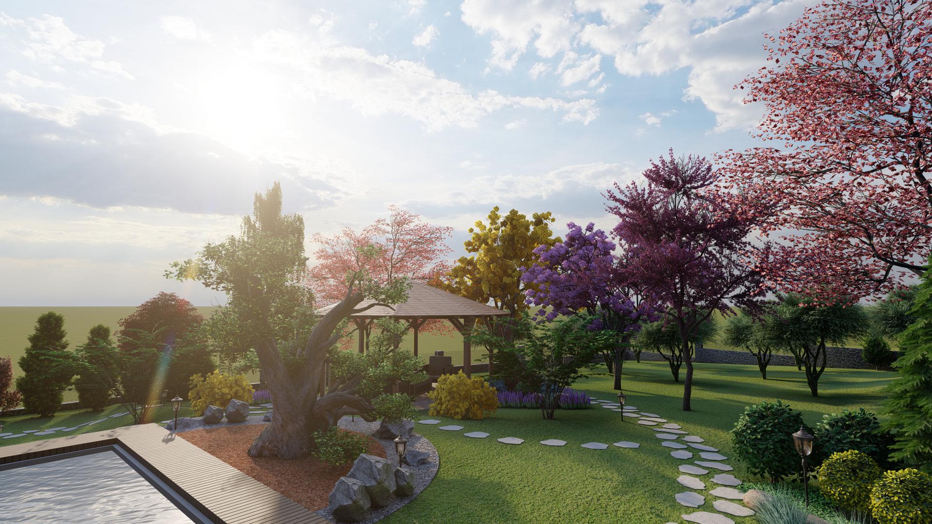 Online Backyard Design, Backyard 3D Rendering,entire Landscaping ...