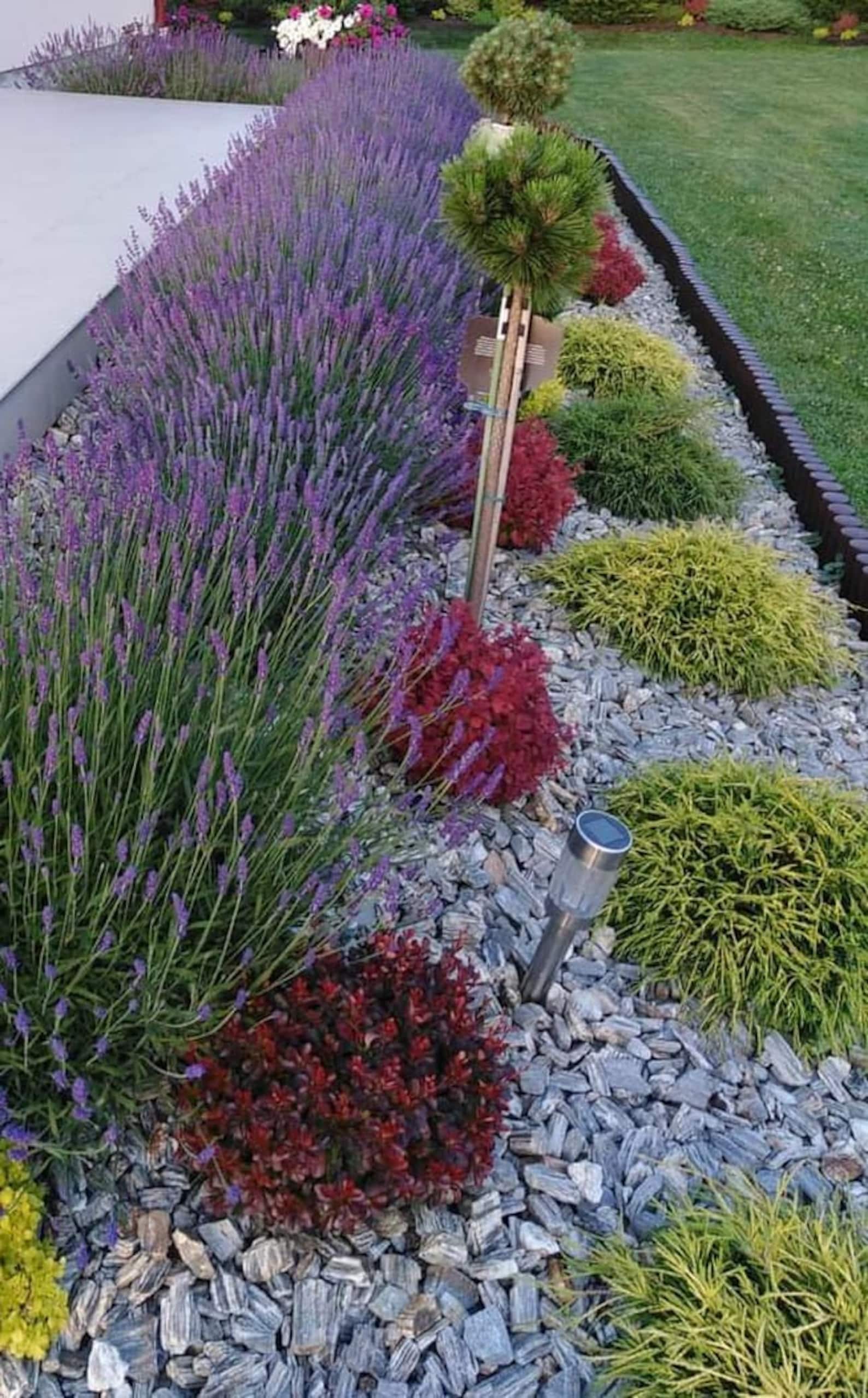 Premade Fence Landscape , Magnolia Tree Design, Zone 5-8 Landscape ...