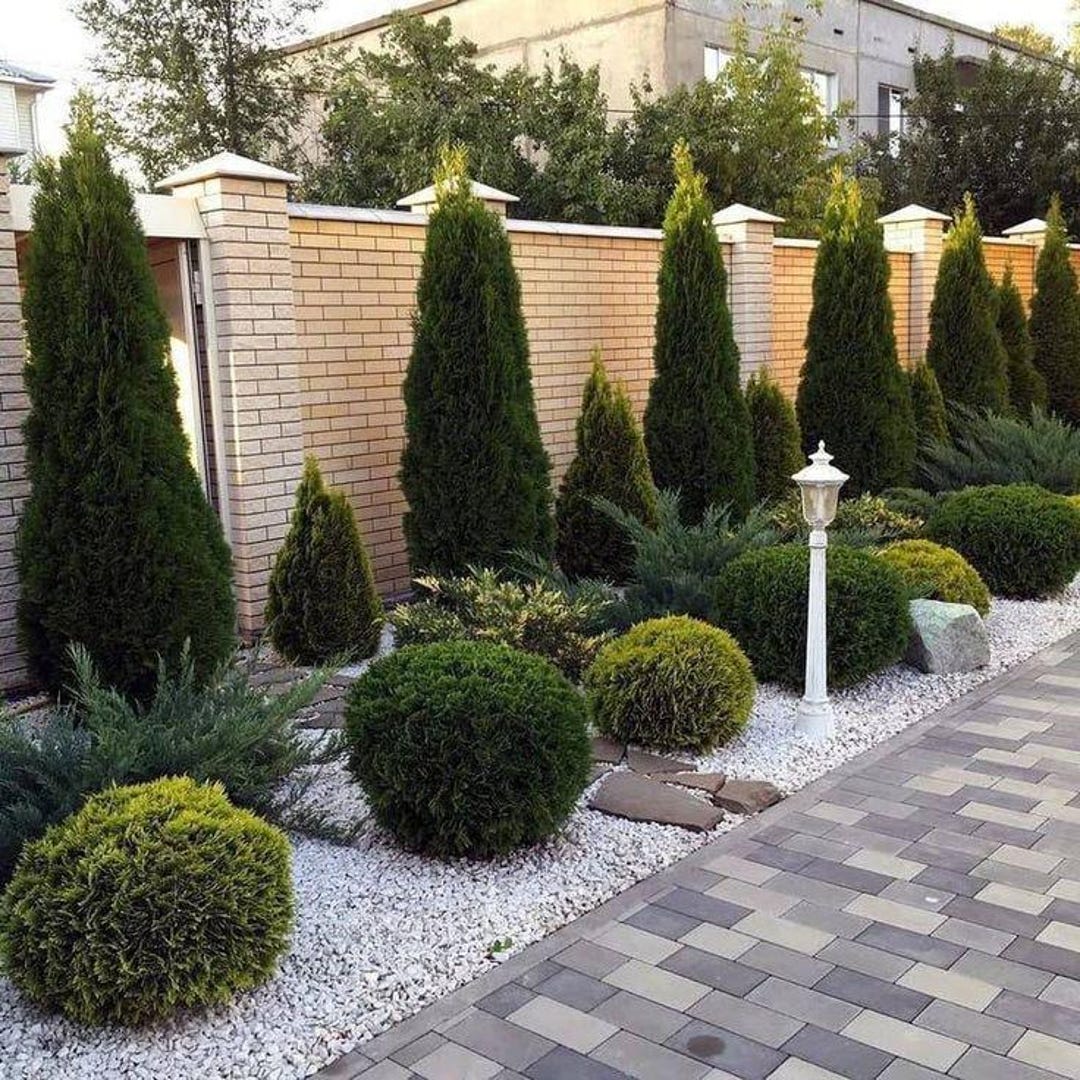 Shade Garden Landscape Plan, Custom Tree Base Planting Design - Etsy