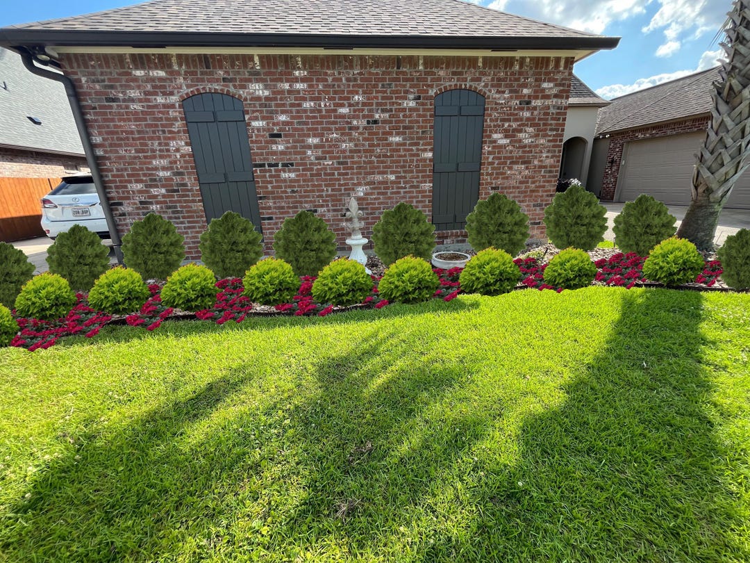 Premade Landscape Design, Landscape Berm, Zone 5-8 Berm, Coniferous ...