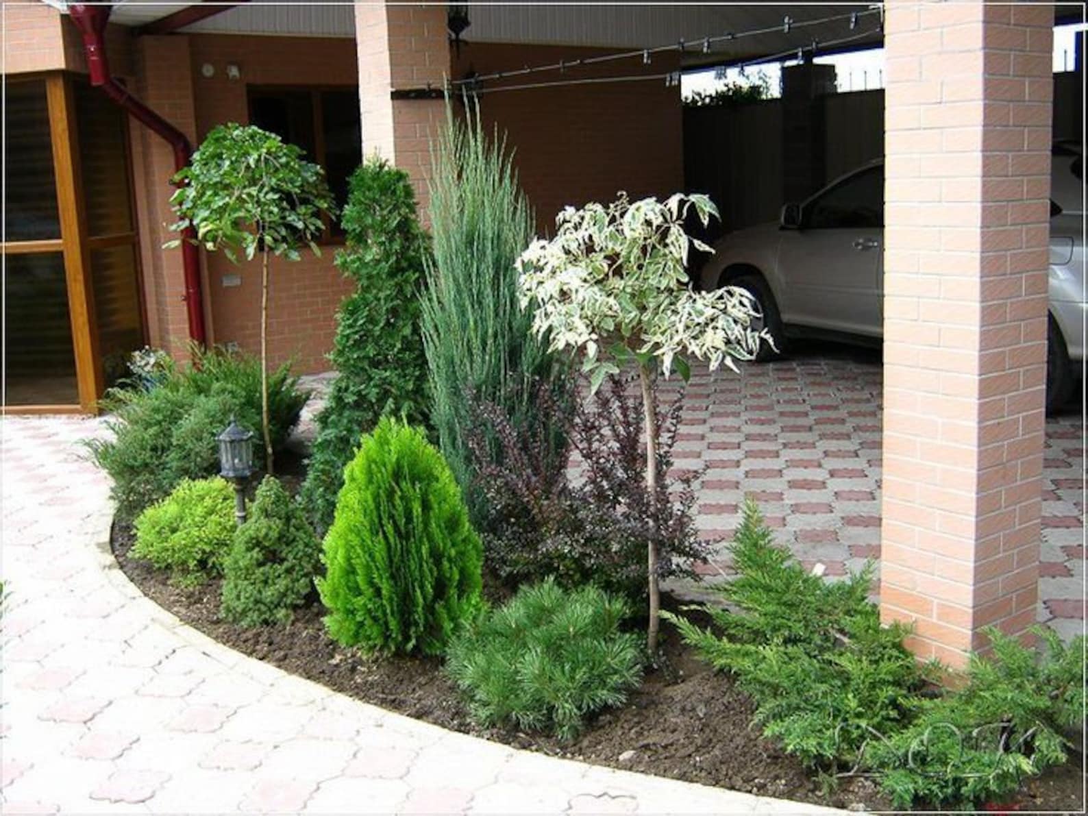 Shade Planting Scheme, Garden Plan Under Shade Tree, Tree Base ...