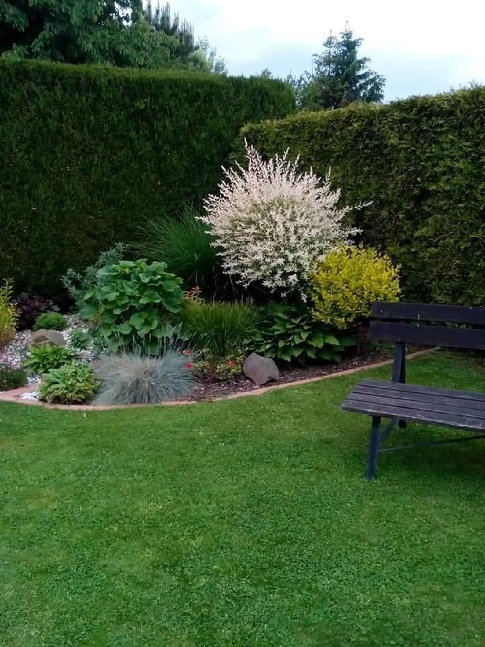 Landscape Plan Shade Planting Scheme, Garden Plan Under Shade Tree ...