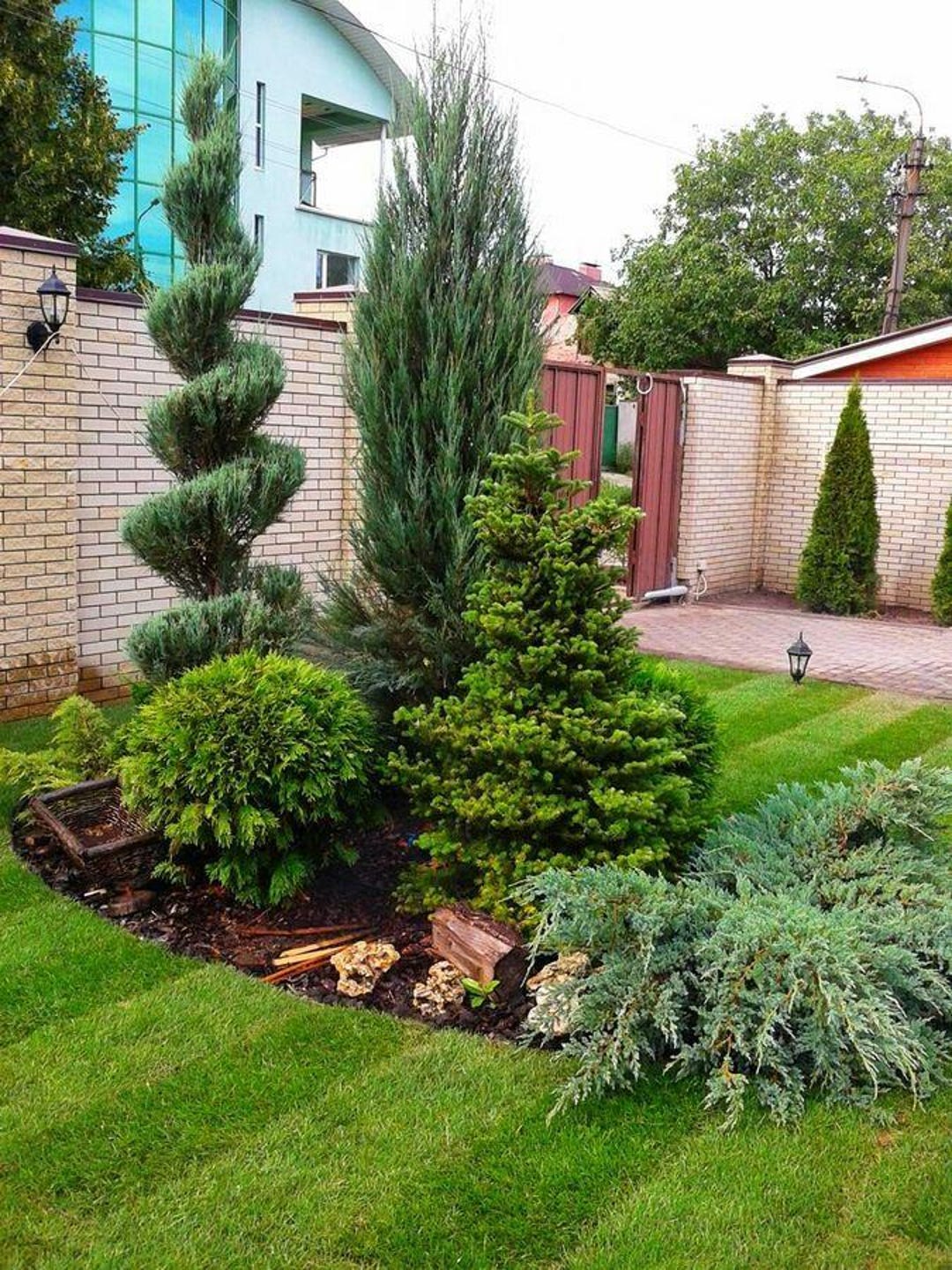 Shade Garden Landscape Plan: Tree Base Planting Scheme (zones 5-8) - Etsy