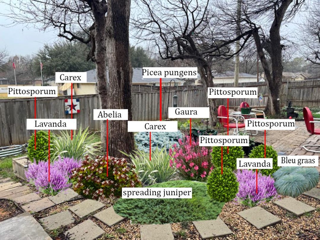 Shade Garden Planting Scheme, Tree Base Landscape Plan - Etsy