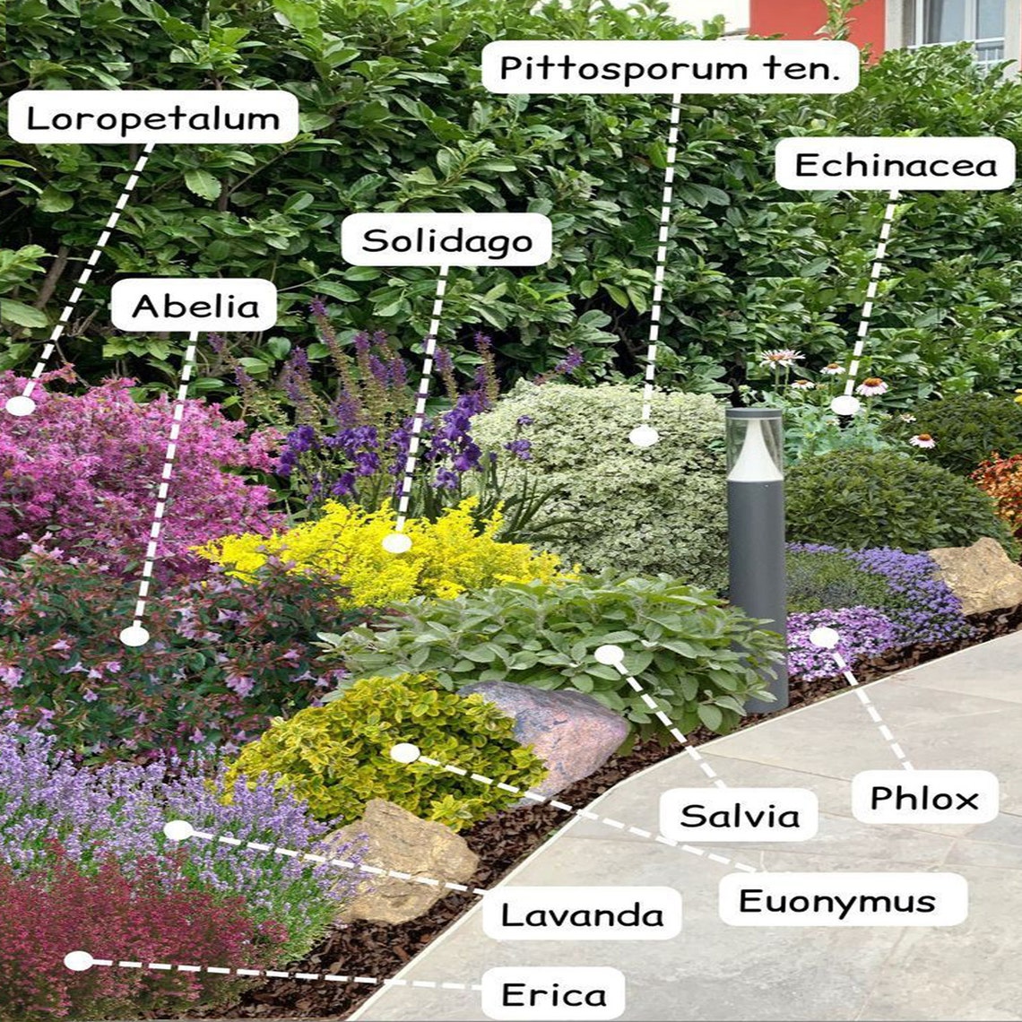 Shade Planting Scheme, Garden Plan Under Shade Tree, Tree Base ...