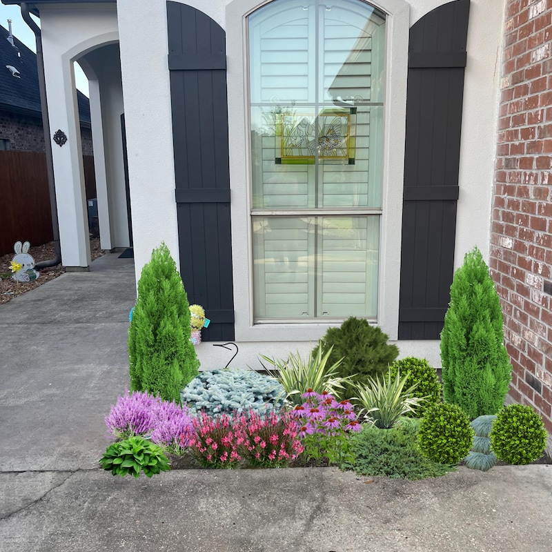 Shade Planting Scheme - Etsy