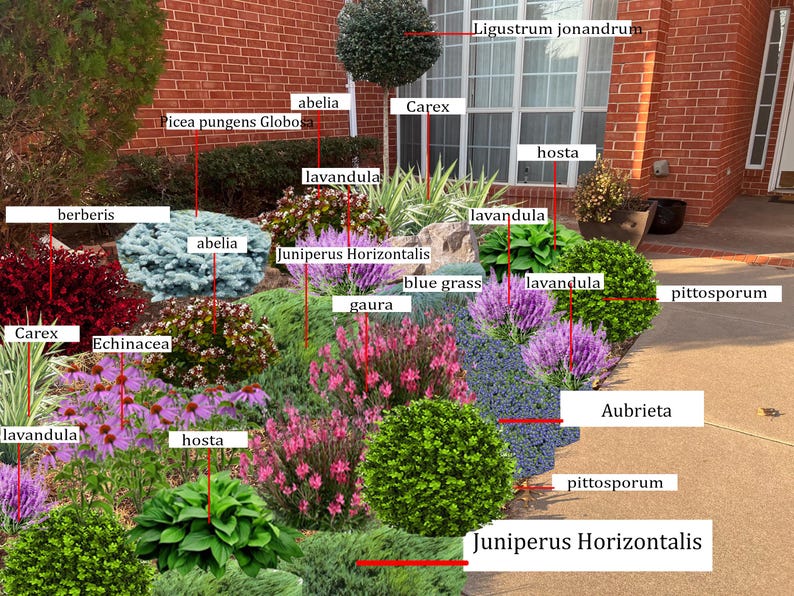 Shade Planting Scheme, Garden Plan Under Shade Tree, Tree Base ...