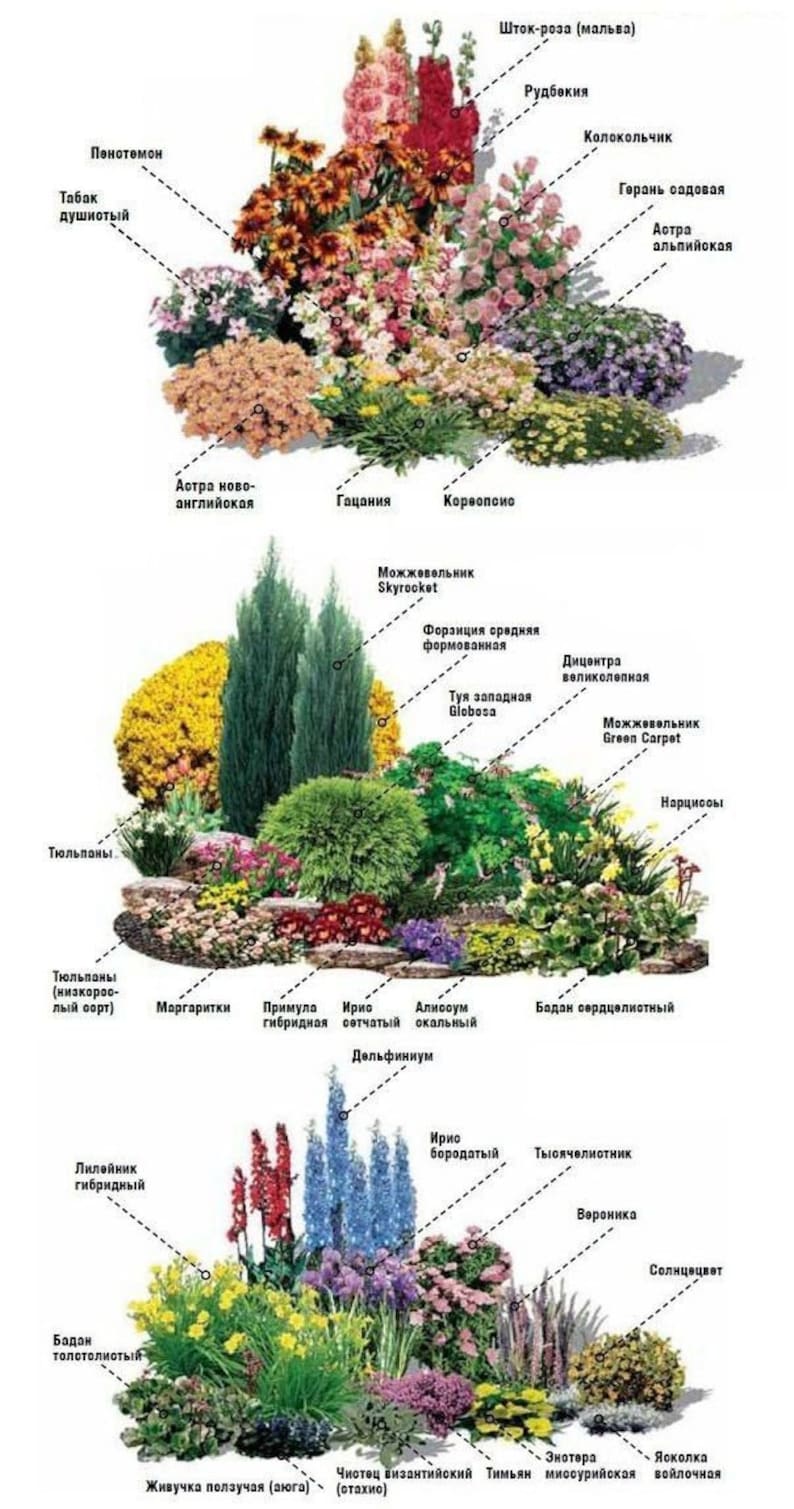 Shade Planting Scheme, Garden Plan Under Shade Tree, Tree Base ...