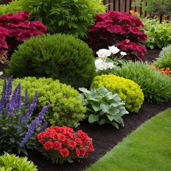 Shade Planting Scheme - Etsy