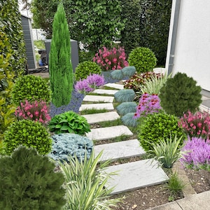 Landscape Plan,shade Planting Scheme, Garden Plan Under Shade Tree ...