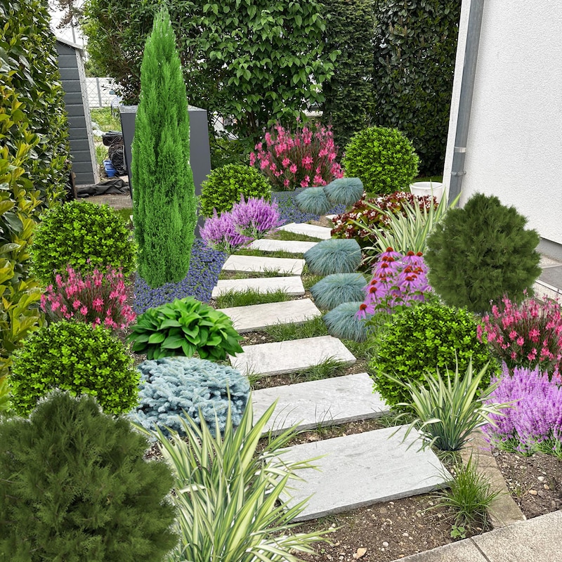 Shade Planting Scheme - Etsy