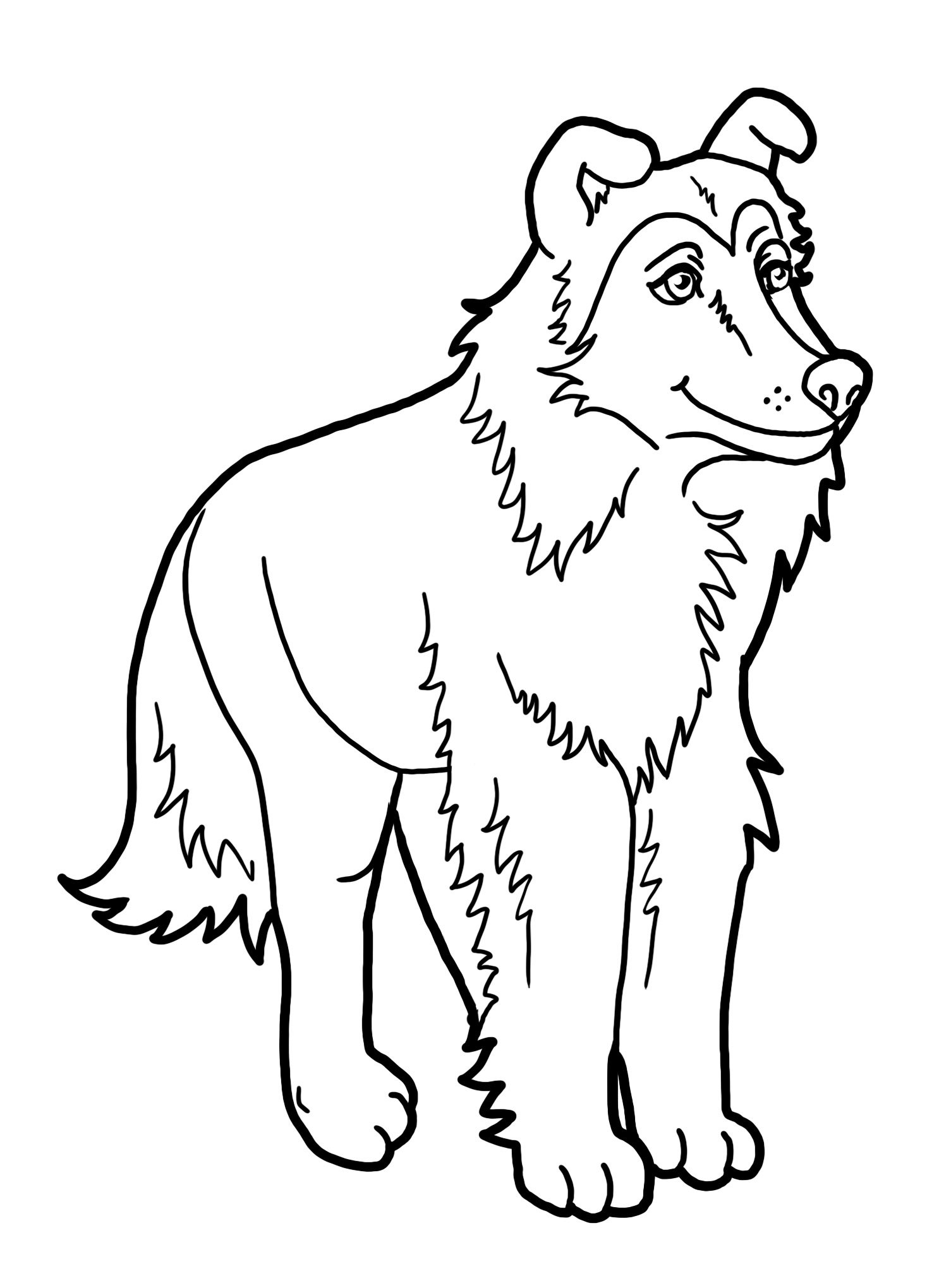 Cute Dog Breeds Colouring Pack - Etsy