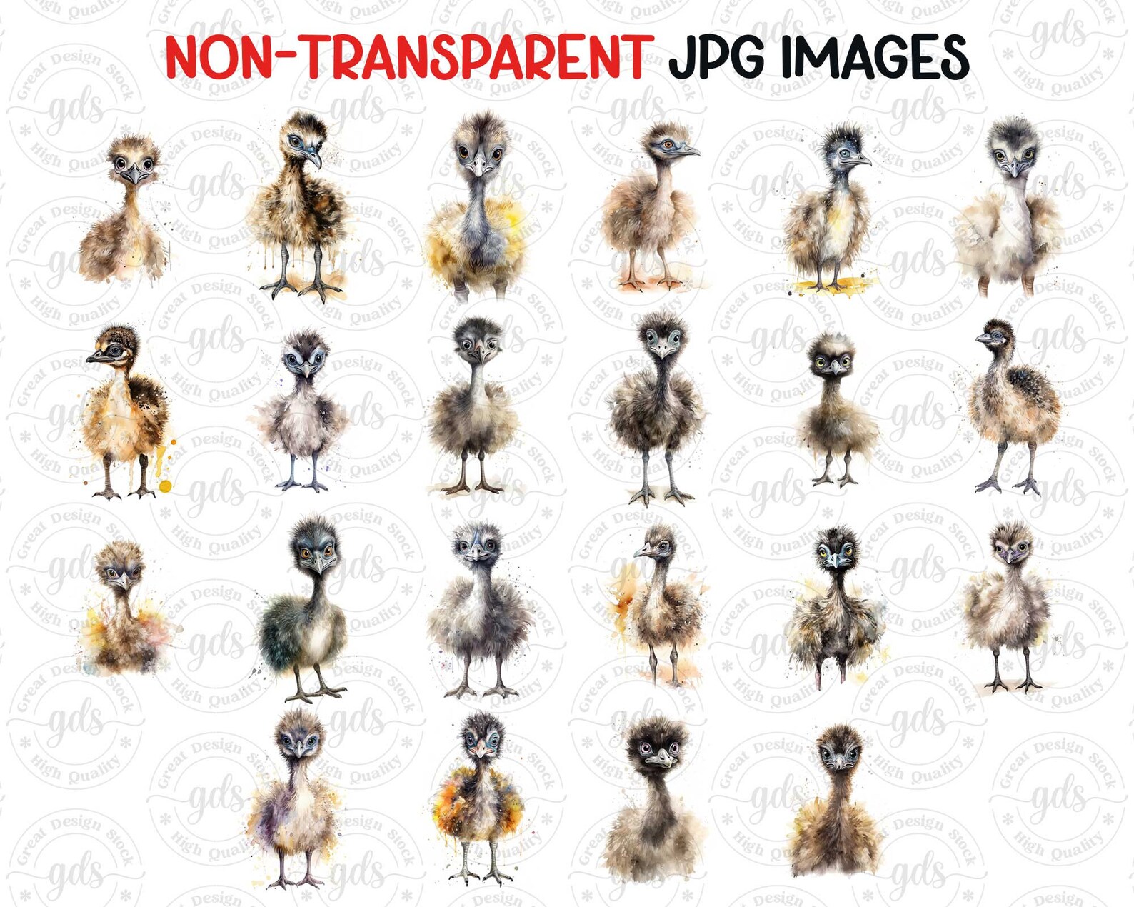 Cute Baby Emu Clipart Bundle, Watercolor Animal Illustration Printable ...