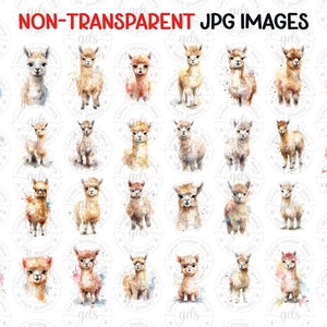 Cute Baby Alpaca Clipart Bundle, Watercolor Animal Illustration ...