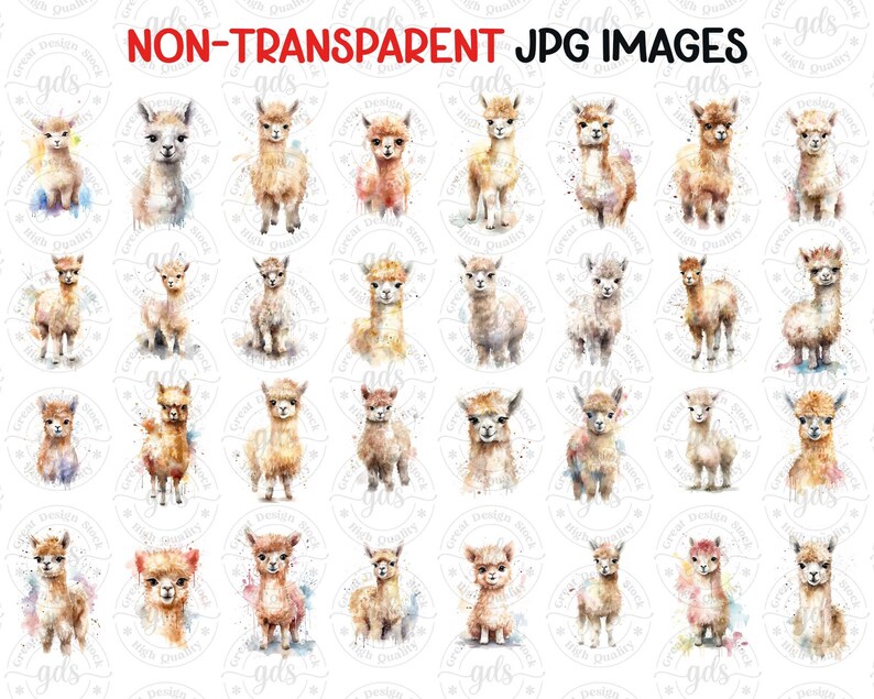 Cute Baby Alpaca Clipart Bundle Watercolor Animal - Etsy