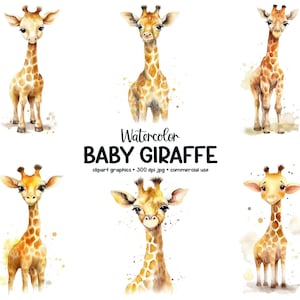 Cute Baby Giraffe Clipart Bundle, Watercolor Animal Illustration ...