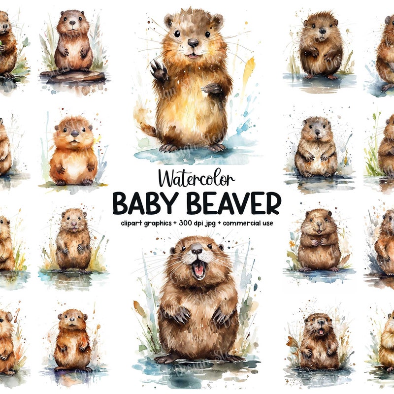 Beaver - Etsy