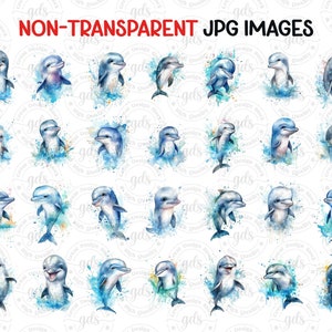 Cute Baby Dolphin Clipart Bundle, Watercolor Animal Illustration ...