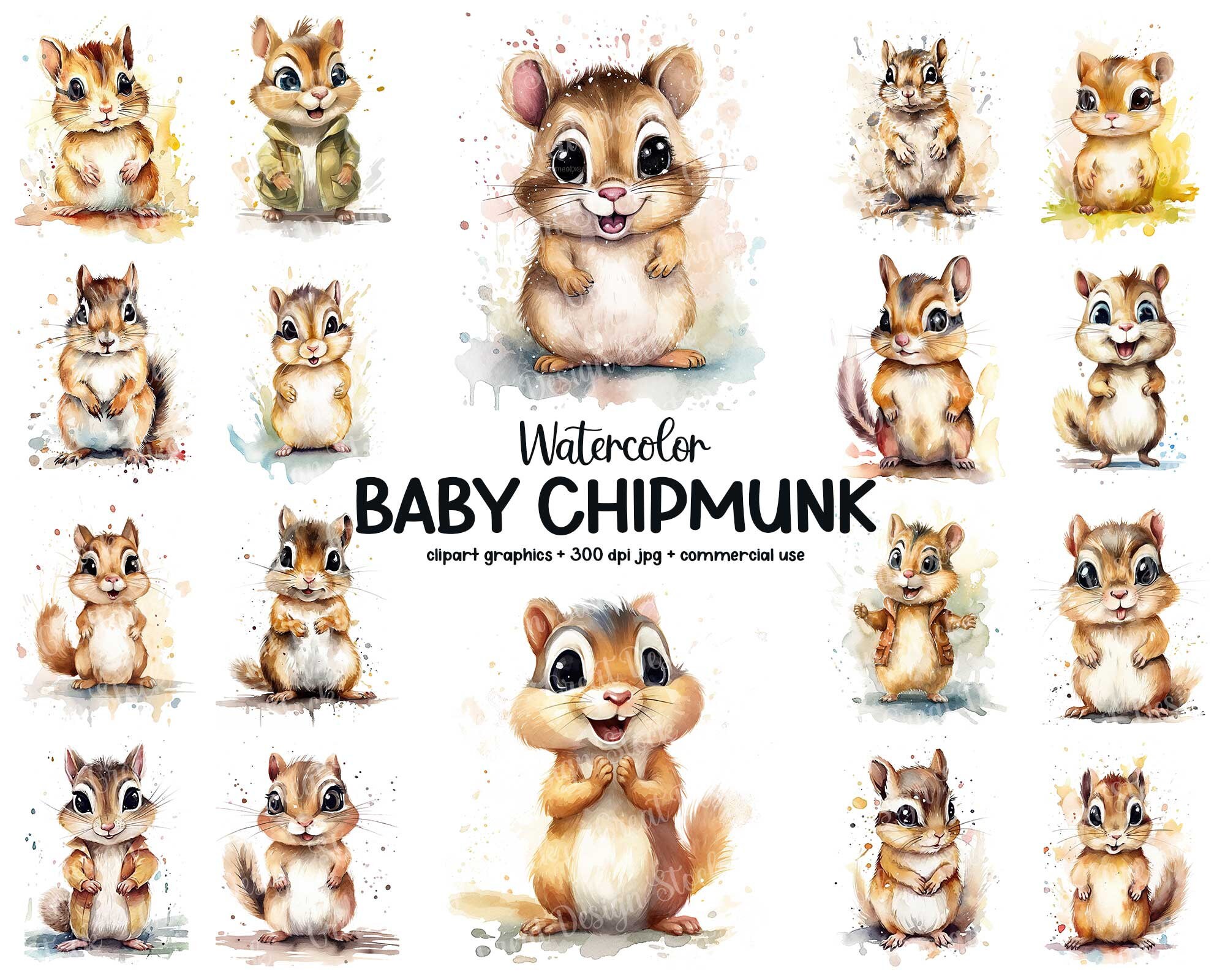 Cute Baby Chipmunk Clipart Bundle Watercolor Animal - Etsy