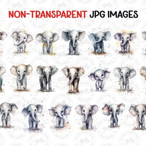 Cute Baby Elephant Clipart Bundle Watercolor Animal - Etsy