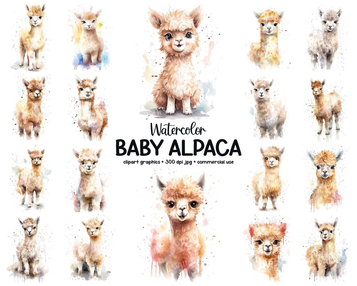 Cute Baby Alpaca Clipart Bundle Watercolor Animal - Etsy