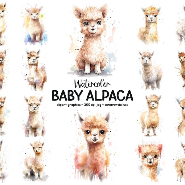 Alpaca - Etsy