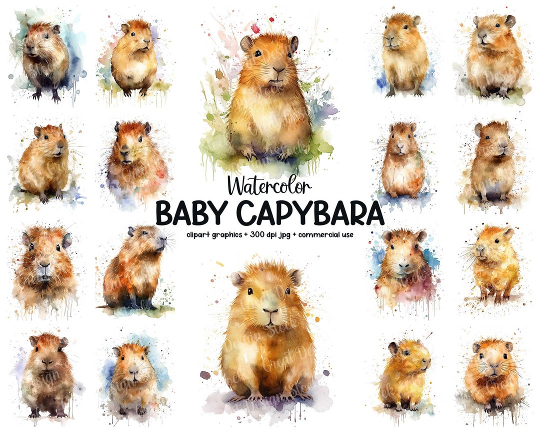 Cute Baby Capybara Clipart Bundle, Watercolor Animal Illustration ...